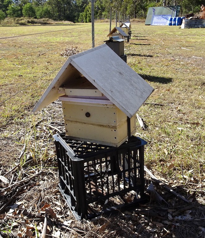 26 Native bee box | Fred and Bev's Odyssey